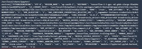 Python Unable To Get Gpu Count From Os Environment In Aws Sagemaker