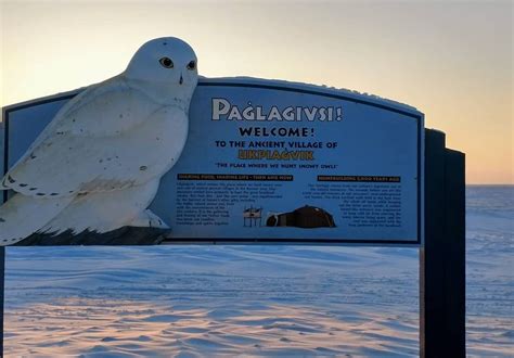 A Locals Guide To Utqiagvik Barrow Travel Alaska