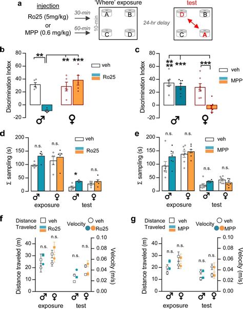 Metabotropic Nmdar Signaling Contributes To Sex Differences In Synaptic