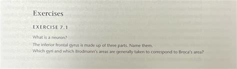 Solved Exercises Exercise 71 What Is A Neuron The Inferior Frontal