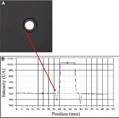 Laser Diode Beam Profile At Sam Hamby Blog