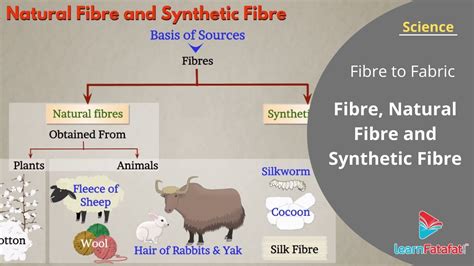 Synthetic Fibers Vs Natural Fibers