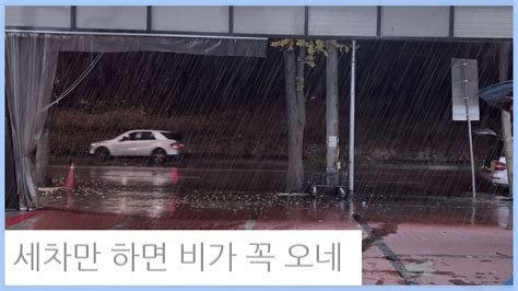 세차 브이로그 야간세차 초보세차 세차꿀팁 묵은 때 제거 방법 세차해도 안 지워지는 오염물질 제거방법 Youtube