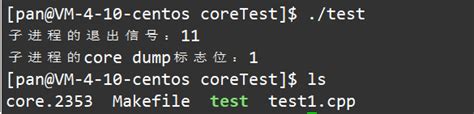 【linux】进程信号中的 core dump 标记位 linux core dump 开启 csdn博客