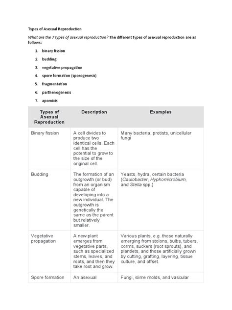 Types Of Asexual Reproduction Download Free Pdf Cloning Reproduction
