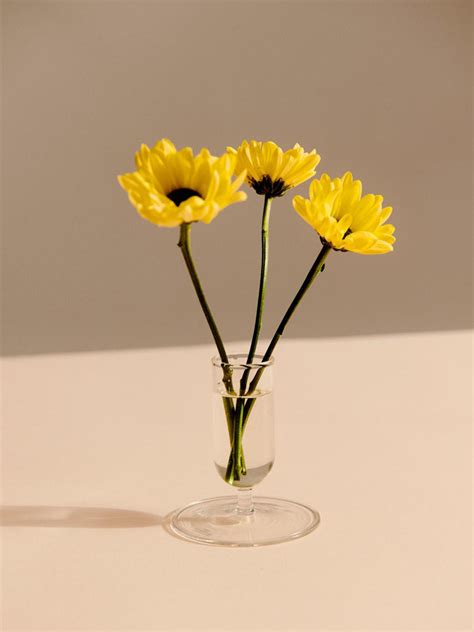 Tiny Vase Catalog Interiors