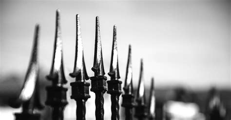 Palisade Compliance On Linkedin Oracle Audit Self Defense Manual Palisade Compliance