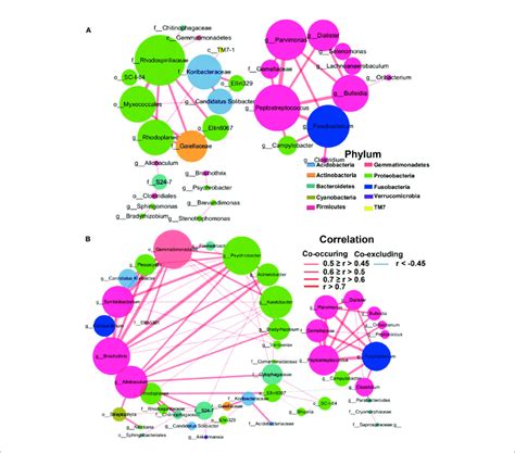 Correlation Network Of Differential Mam In Tumor A And Adjacent