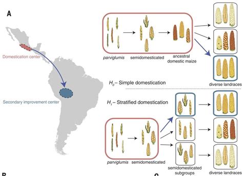 Agroecología