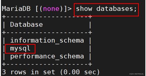 Linux安装MariaDB数据库_linux离线安装mariadb-CSDN博客