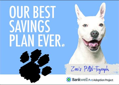 Nancy Abels Caccia On Linkedin Come Join Us Tomorrow In New Canaan At