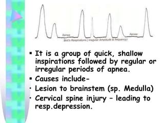 Abnormal Breathing Patterns In Respiratory System Pptx