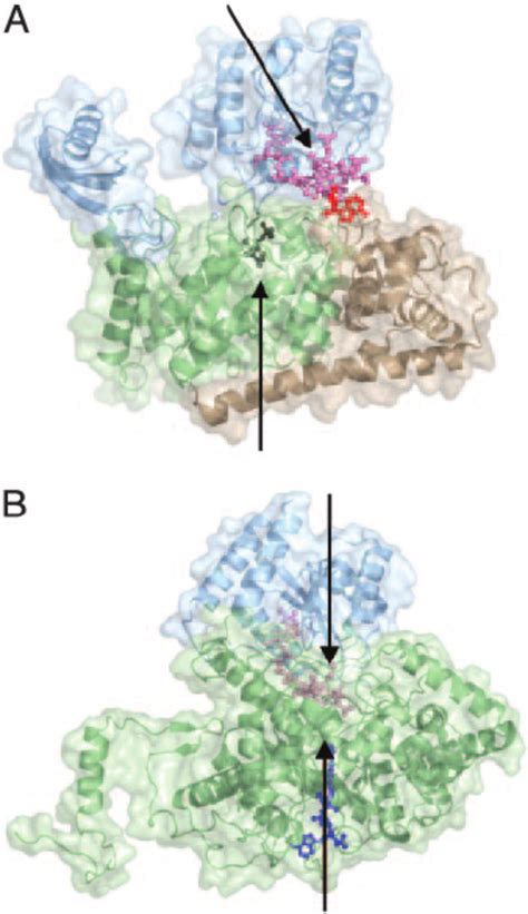 Edge On Vs Top On Enzyme Conformations A Structure Of The