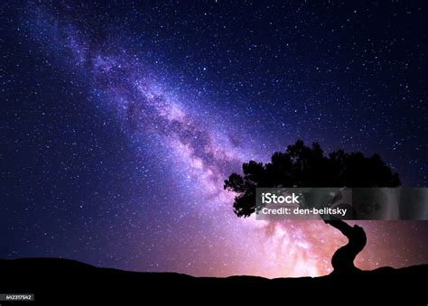 하 수 그리고 언덕에 나무입니다 오래 된 나무는 보라색은 하와 별이 빛나는 밤하늘에 대 한 산 자라 밤 풍경입니다 공간 배경입니다 갤럭시입니다 여행 야생 야생의 자연 0명에