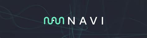 Navi Protocol GitHub