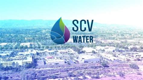 Rochelle Patterson Named Scv Water Assistant General