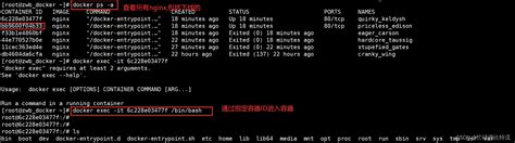 docker镜像及容器基本操作命令 docker启动镜像容器命令 csdn博客