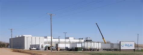 Windom Hylife Leaders Hope To Avoid Layoffs By Finding A Buyer For The Hog Processing Facility
