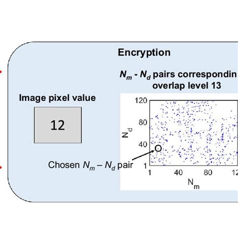 Schematic Showing The Process Of Encrypting A 50 Â 50 Pixel 4 Bit