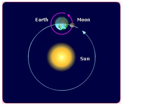 Solar System With Moons Diagram