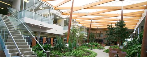 Case Study Uq Ipswich Library Ptfe Roof Makmax Australia