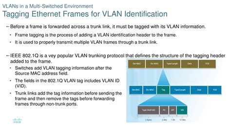 What Are The Different Vlan Frame Tagging Techniques At Marjorie
