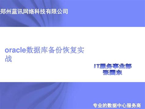 oracle数据库备份恢复实战教案 word文档在线阅读与下载 无忧文档