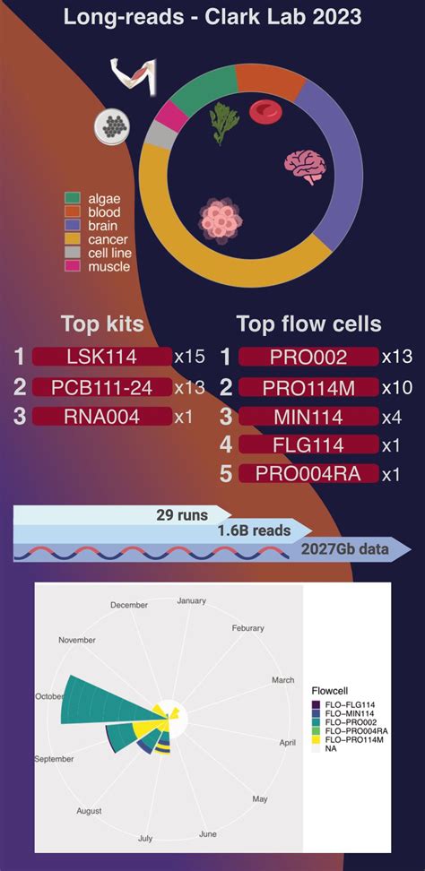 Nanopore Wrapped Transcriptomics Genomics Rna Brain Ricardo De Paoli Iseppi