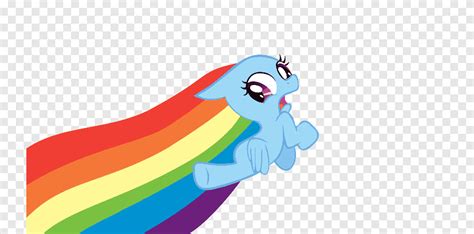 Rainbow Dash Sonic Rainboom