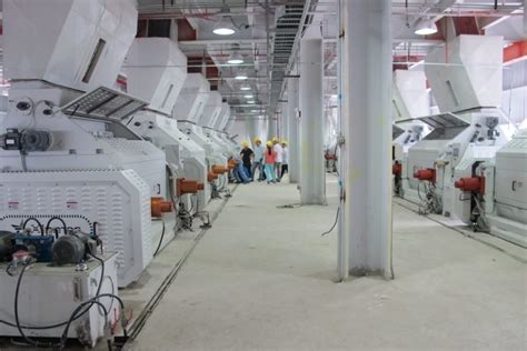 The Complete Guide To Wheat Processing Machines Everything You Need To