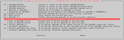 Openhab Not Starting After Update From 34 To 4m1 In Raspi Beginners Openhab Community