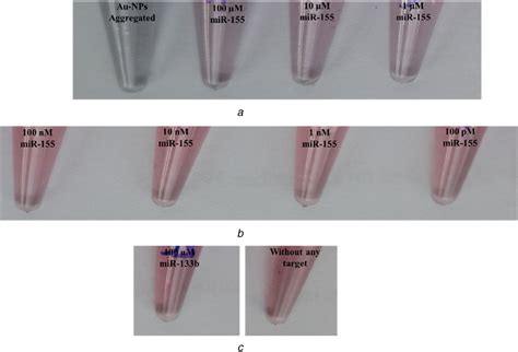 Cross‐linking Gold Nanoparticles Aggregation Method Based On Localised Surface Plasmon Resonance