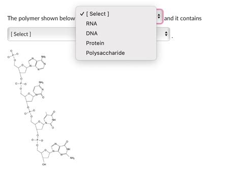 Solved The Polymer Shown Below