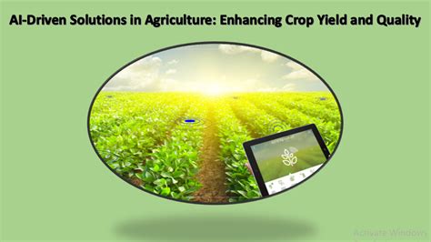 AI Driven Solutions In Agriculture Enhancing Crop Yield And Quality Codelearnerz