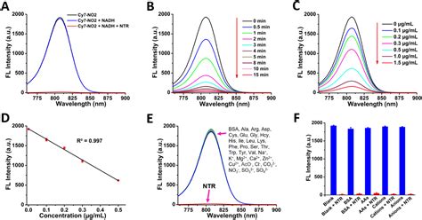 A Nitroreductase Sensitive Near Ir Fluorescent Biosensor For Detecting Tumor Hypoxia In Vivo