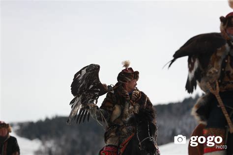 Хамгийн хурц хараатай эрэмгий дайчин бүргэдийг гаршуулсан эрс