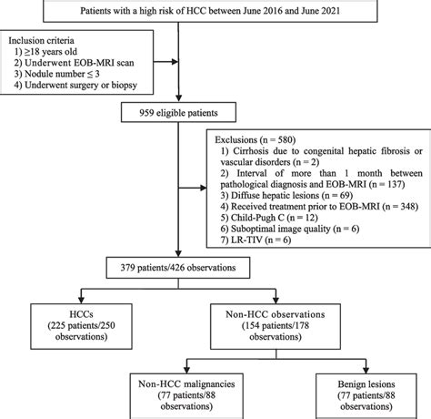 Flowchart Of Patient And Observation Selection Hcc Hepatocellular Download Scientific Diagram