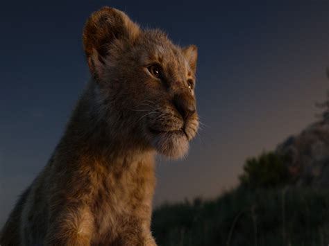 Simba En La Nueva Pelicula De El Rey Leon