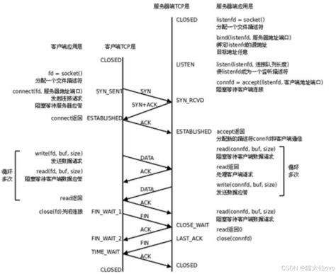 tcp协议相关特性 tcp基本特征 csdn博客