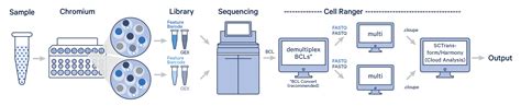 Normalization And Batch Correction For Data Integration 10x Genomics