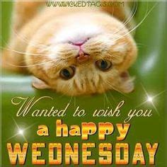 Discover 13 The Cats Of Wednesday Ideas Cats Wednesday Happy