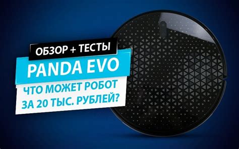 Panda Evo: подробный обзор + тесты. Как убирает робот-пылесос за 20 ...