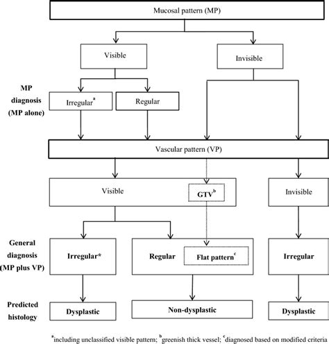 Diagnostic Utility Of A Novel Magnifying Endoscopic Classification