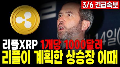리플 전망 리플이 계획한 상승장 1개당 1000달러 정확히 이때부터입니다 리플코인대응 엑스알피 리플 Xrp Sec