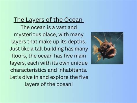 The Ocean Zones Reading Comprehension Teaching Resources