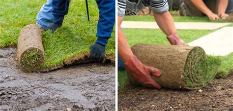 Laying Sod Over Existing Grass Step By Step Guide