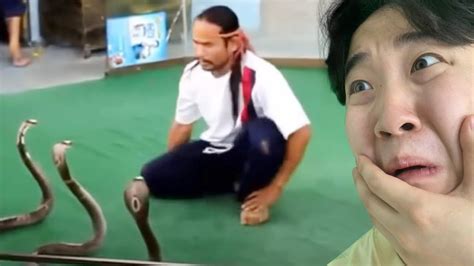 살면서 한 번 볼까 말까 한 장면들을 봤습니다이건 레전드다 Youtube