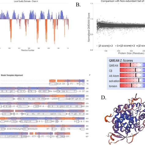 Protein Structure Homology Modelling Of Gberg11 Generated Using Download Scientific Diagram