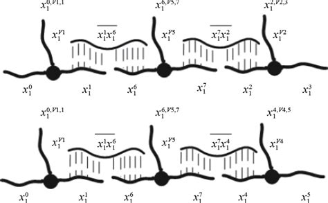 Schematic Diagram Of Two Types Of Aggregation Which Represents The Download Scientific