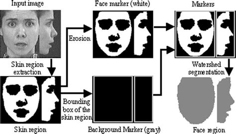 Face Region Extraction By Watershed Segmentation With Markers Download Scientific Diagram